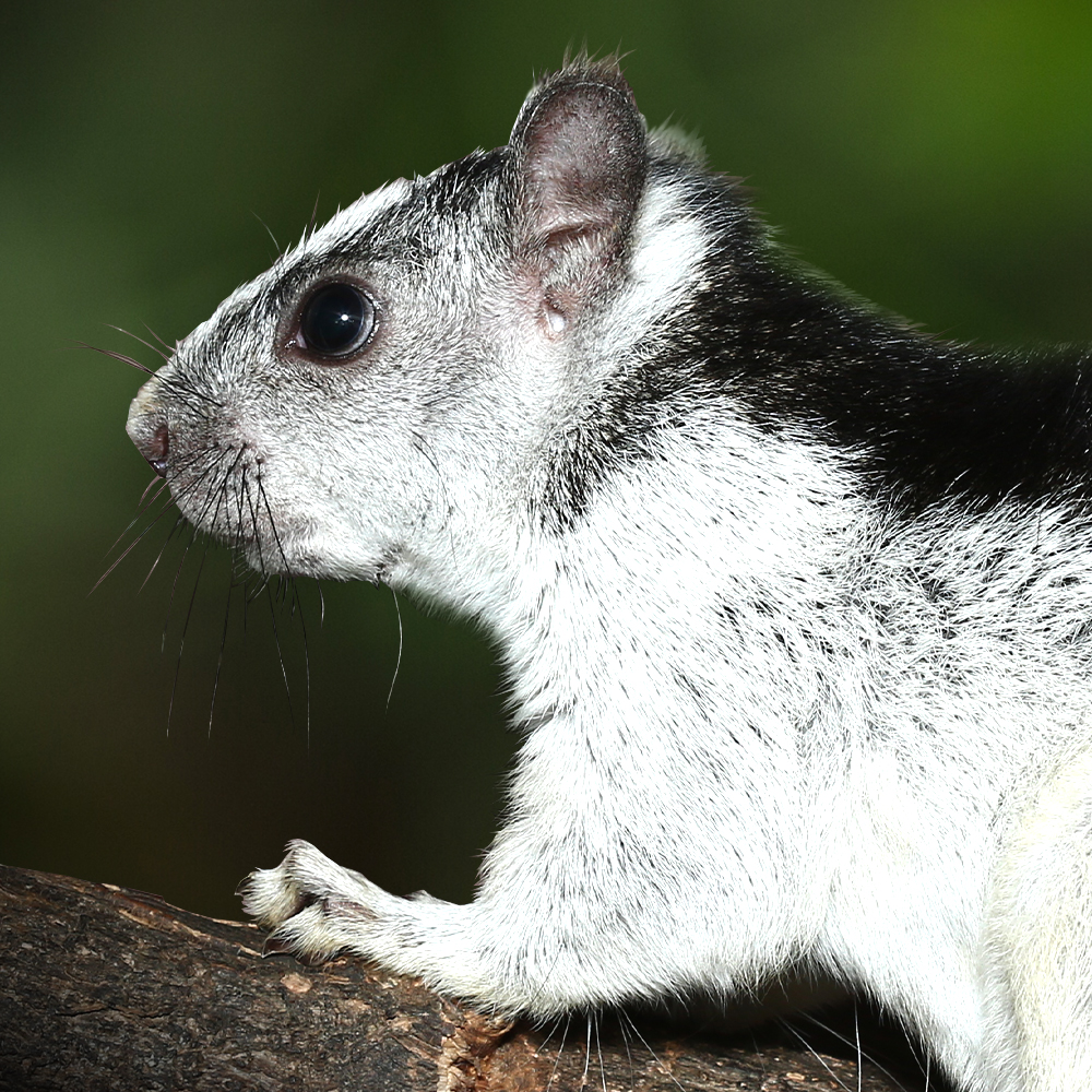 Products Archive - UGR Wholesale