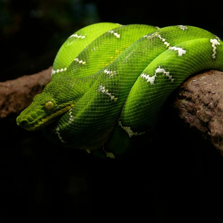 Products Archive - UGR Wholesale