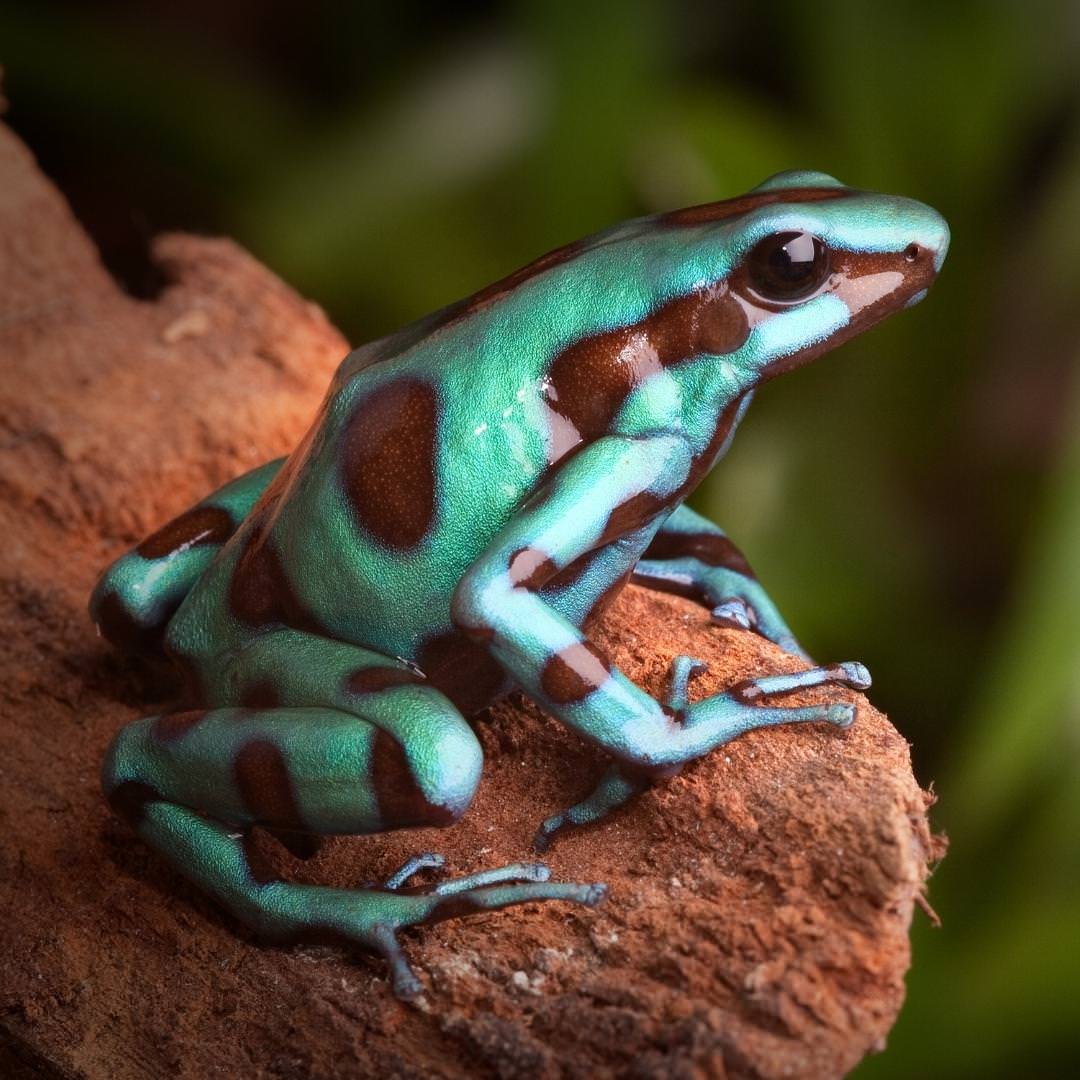 Products Archive - UGR Wholesale