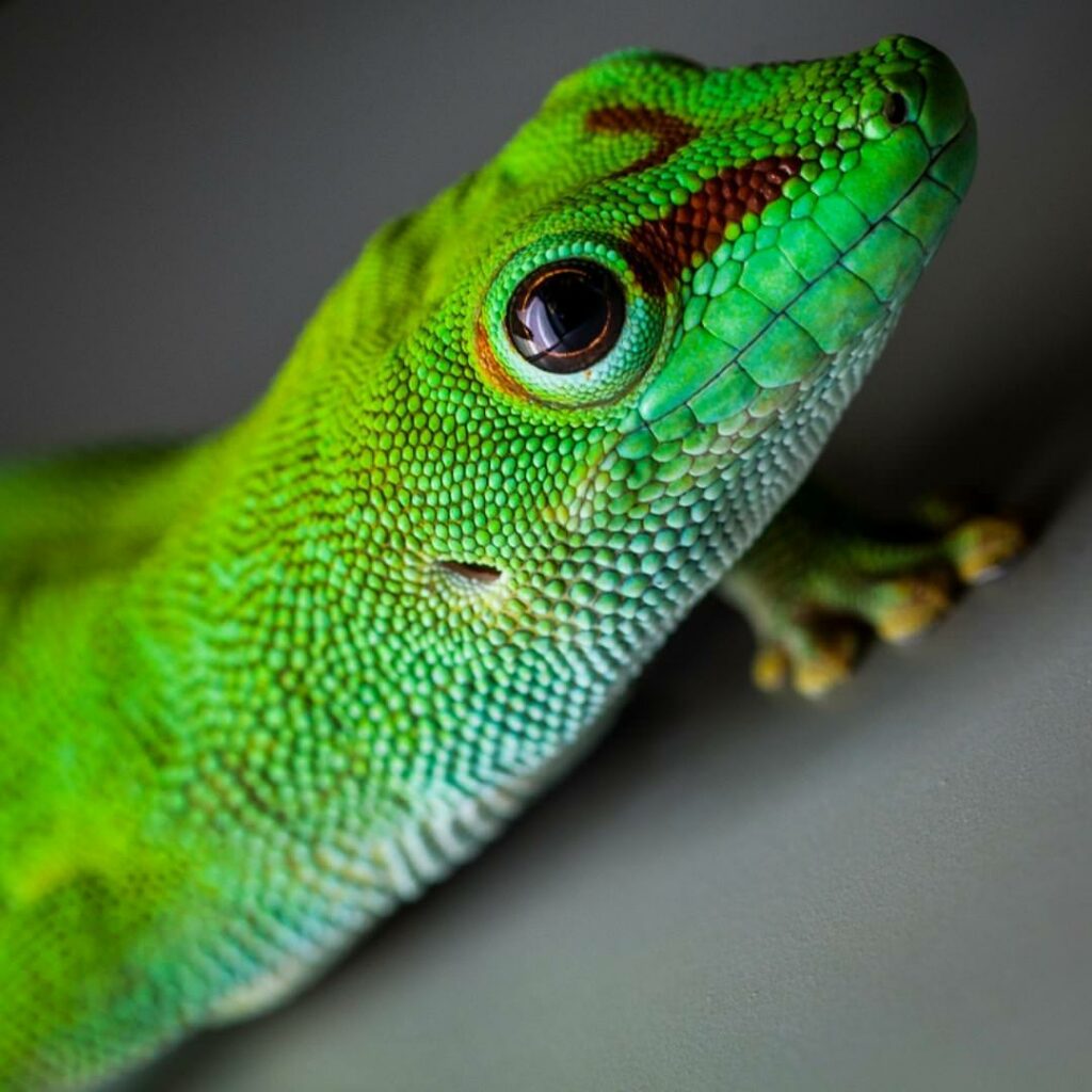 Products Archive - UGR Wholesale