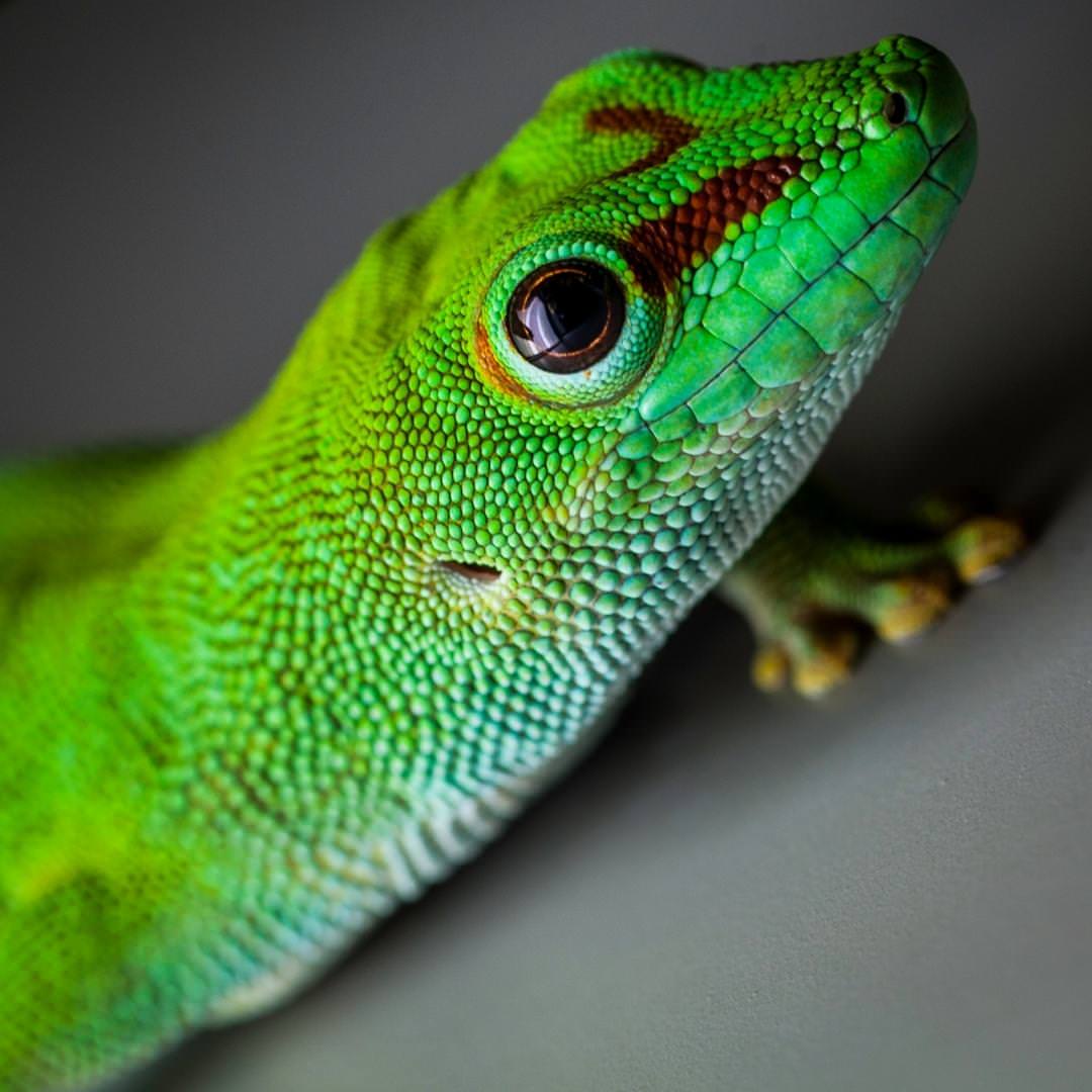 Products Archive - UGR Wholesale