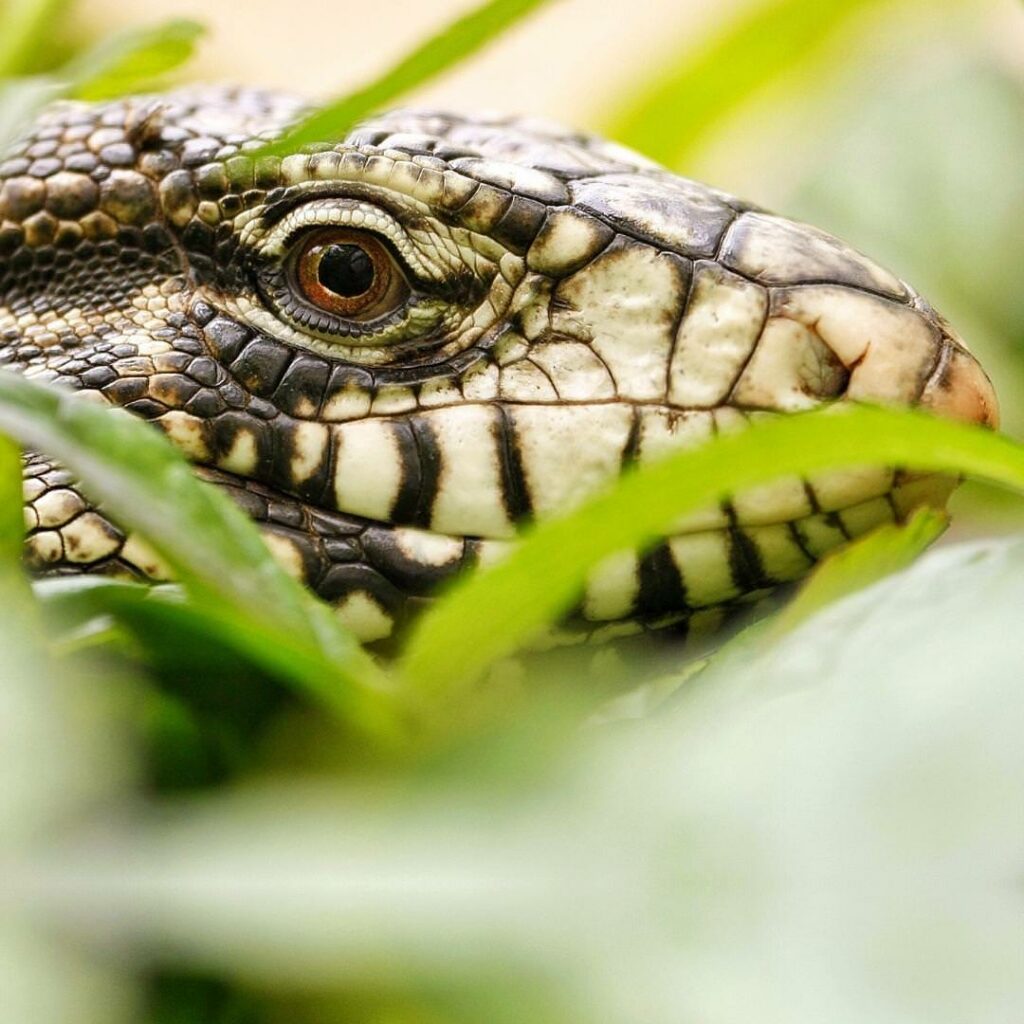 Products Archive - UGR Wholesale